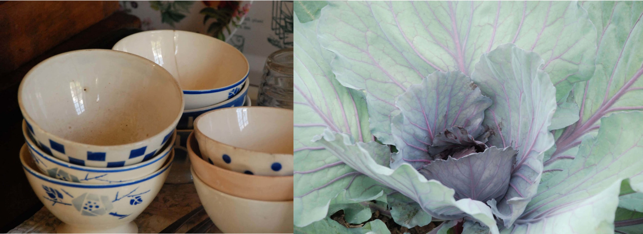 Conseil en habitat, jardin et paysagisme - Lily Wanat