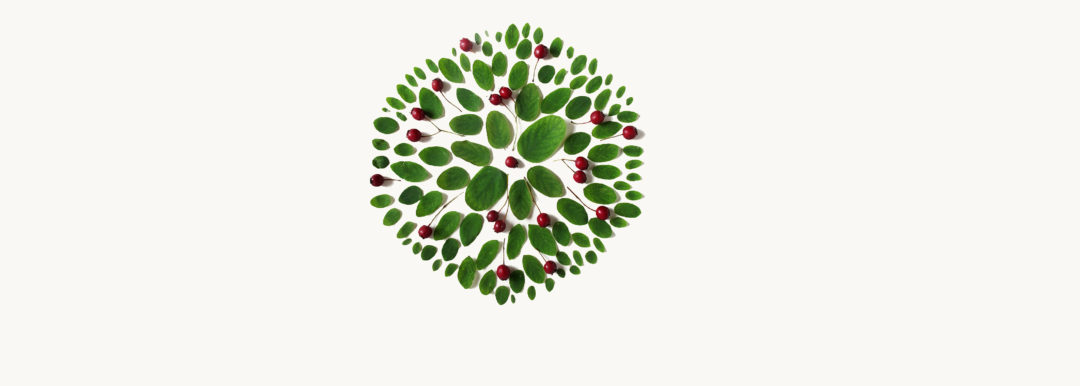 ACCUEIL - LILY WANAT - Lily Wanat